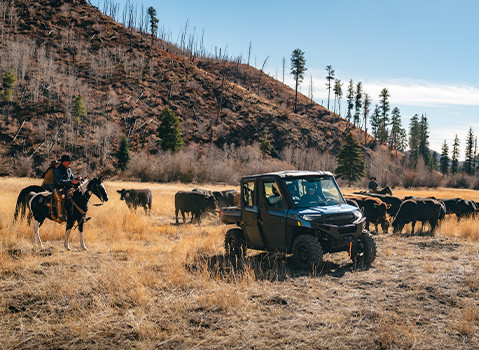 Polaris NorthStar Enclosed UTVs | Polaris Off-Road Vehicles EN-CA