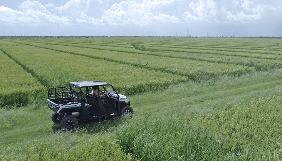 Growing with Polaris | Polaris Off-Road Vehicles