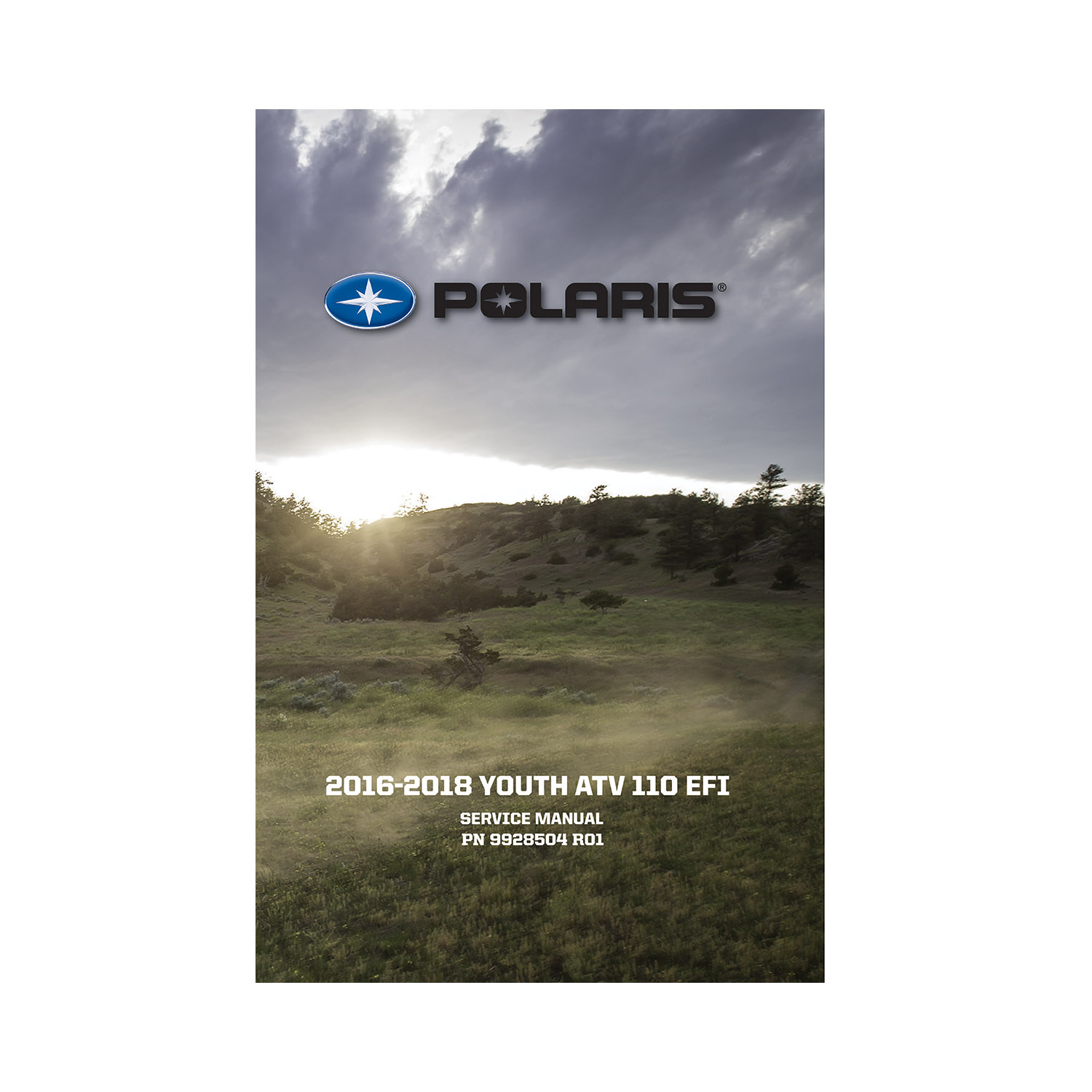 Service Manual for 2018 ATV 110 | Polaris