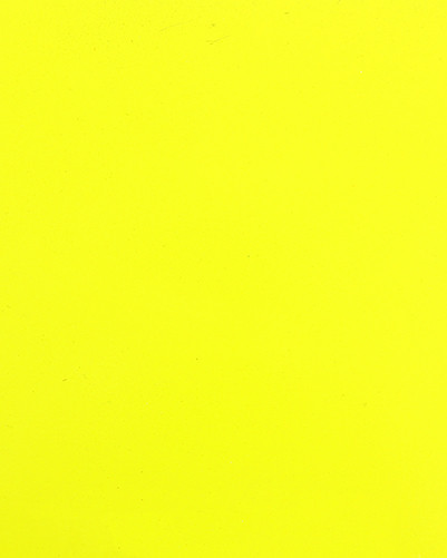 Asylum Roof with Light Bar Pocket | Pro Armor