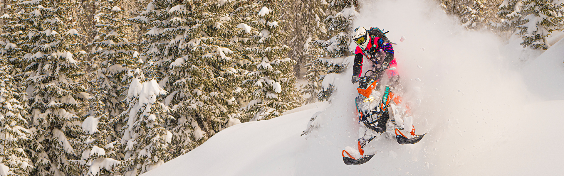 Bumpers | Snow Accessories | Pro Armor