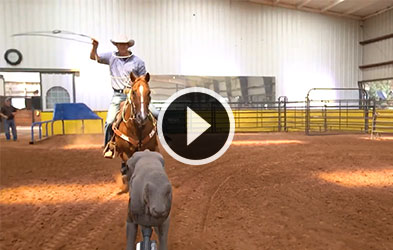 Tyson Durfey - RANGER Country Partner | Polaris RANGER