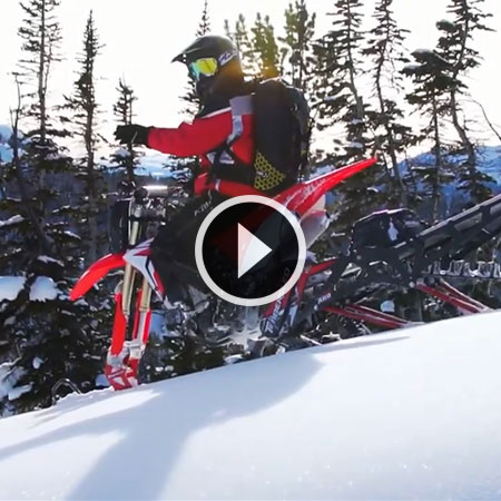 2021 Timbersled ARO S & RIOT S | Timbersled